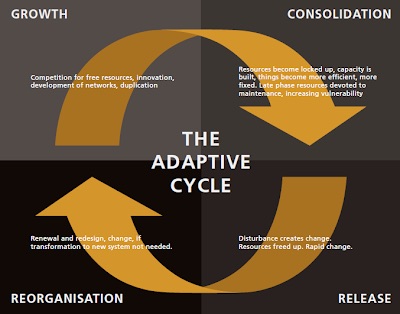 adaptive cycle – Thinking Practice